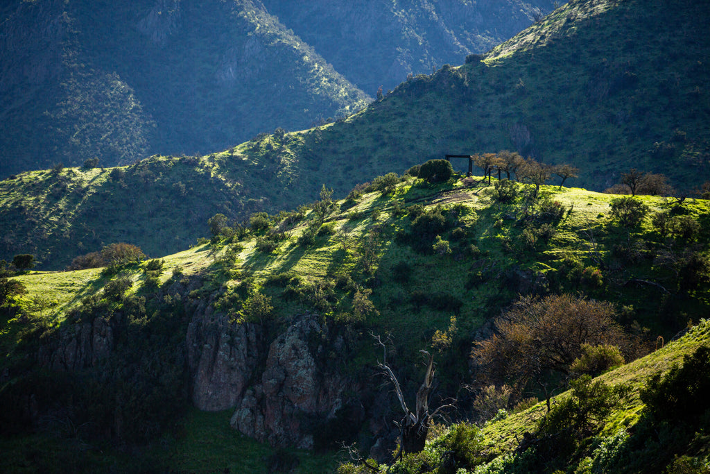 Parque Guay Guay extiende su horario: ahora abierto de 7:30 a 21:00 hr ...